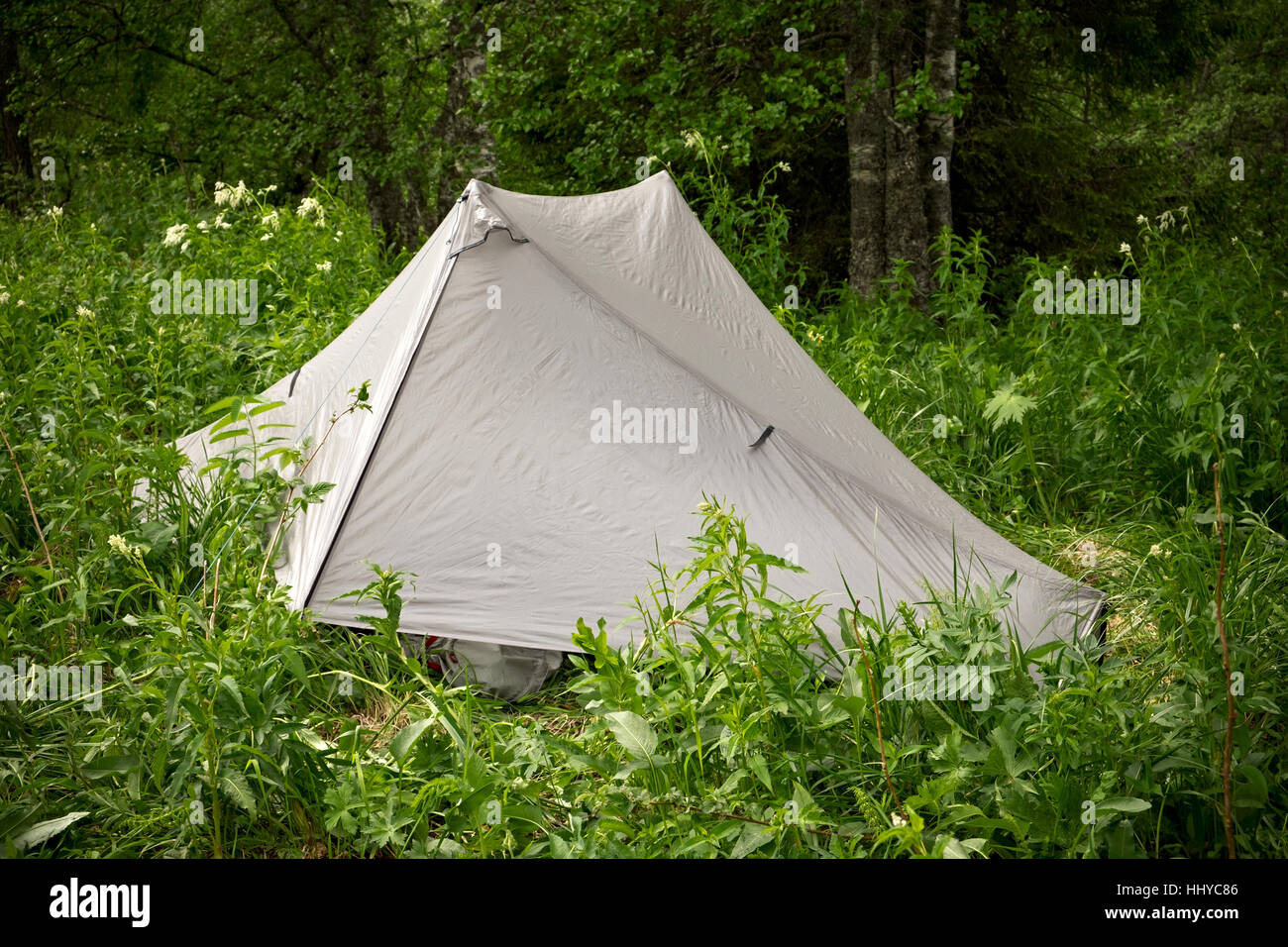 Tent pitched in camping hi-res stock photography and images - Alamy