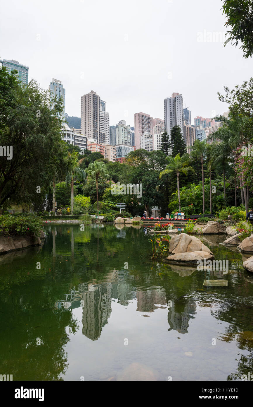 The lake in Hong Kong park Stock Photo - Alamy