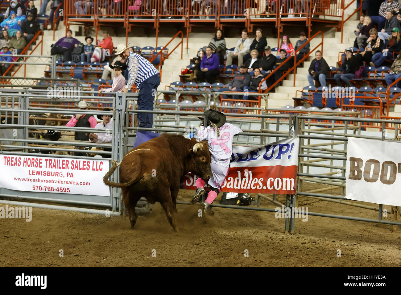 A rodeo clown is attacked by an angry bull at the Pennsylvania Farm ...