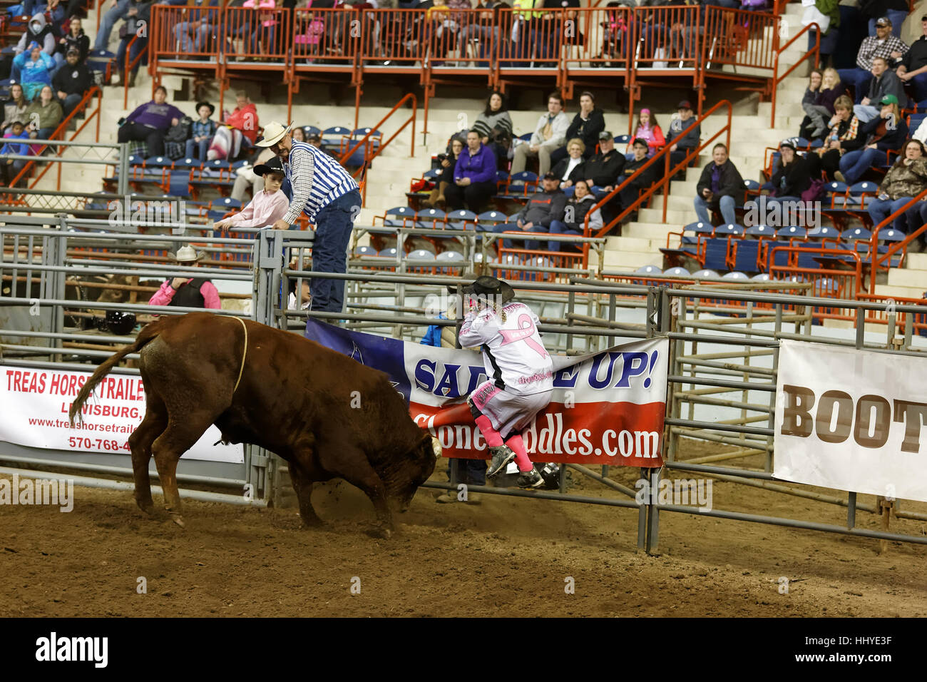 Angry bull hi-res stock photography and images - Alamy