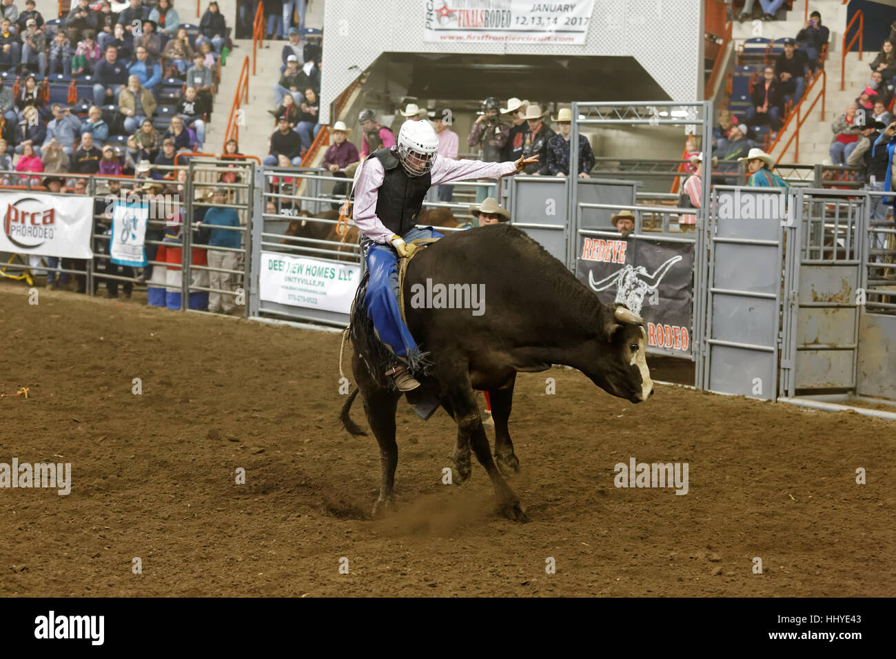 A young cowboy rides a bull at the Pennsylvania Farm Show Complex arena ...
