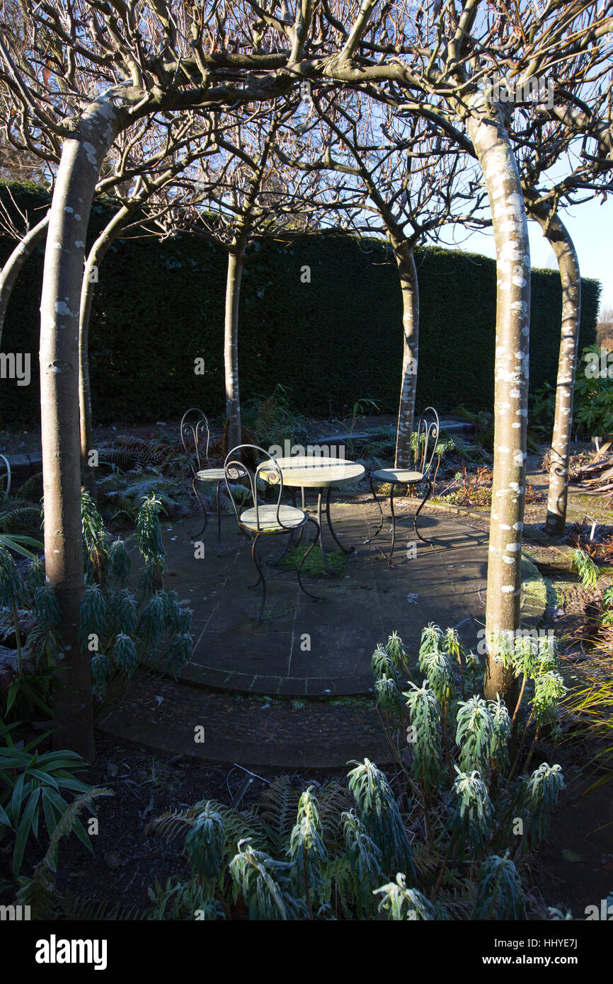 Freezing temperatures creating frost covered landscapes and gardens at ...