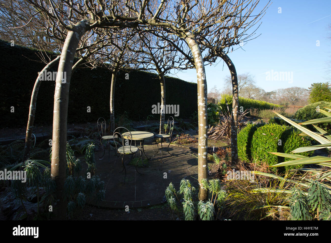 Freezing temperatures creating frost covered landscapes and gardens at ...