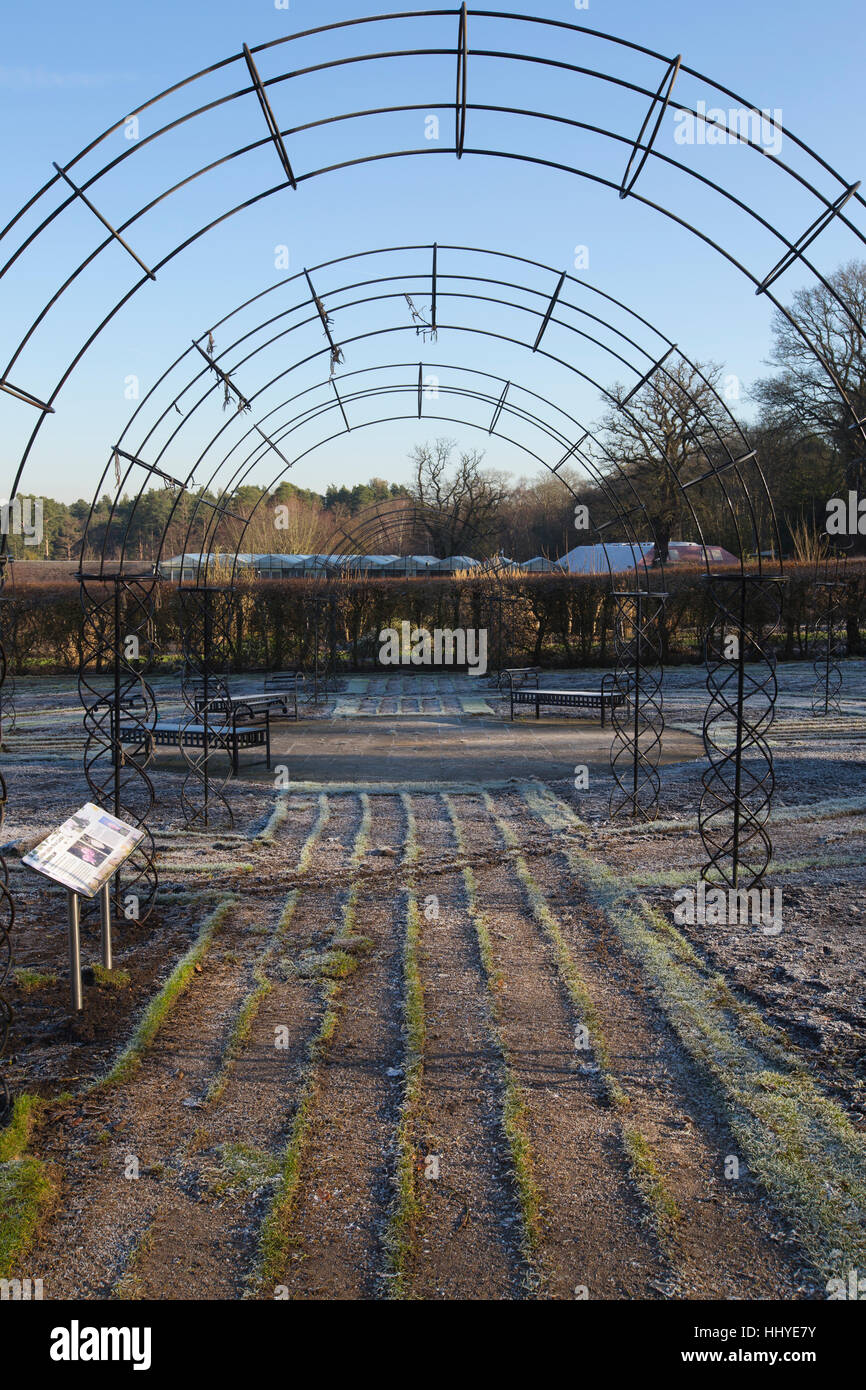 Freezing temperatures creating frost covered landscapes and gardens at ...