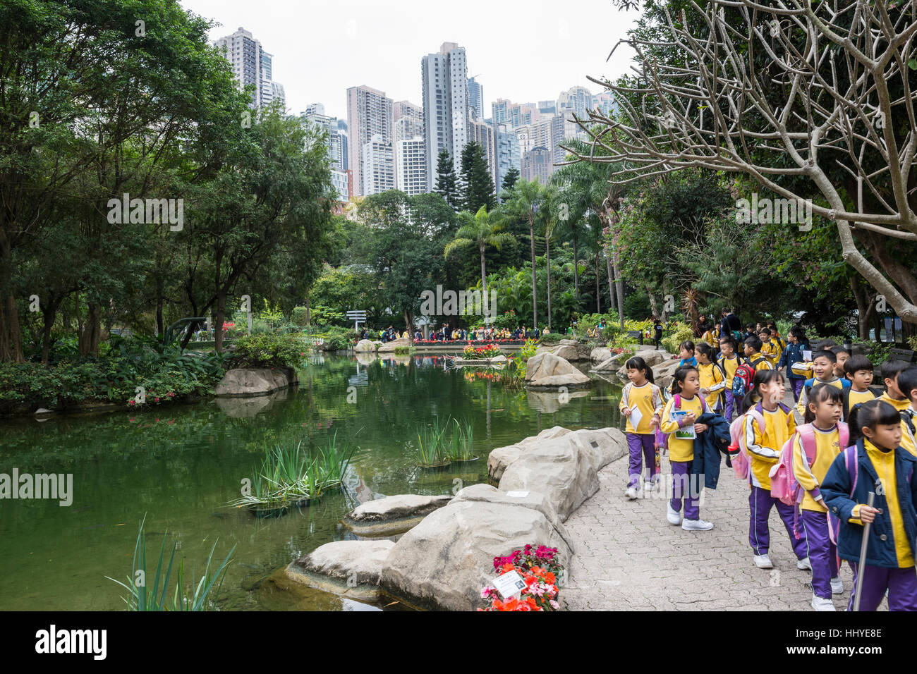 The lake in Hong Kong park Stock Photo - Alamy