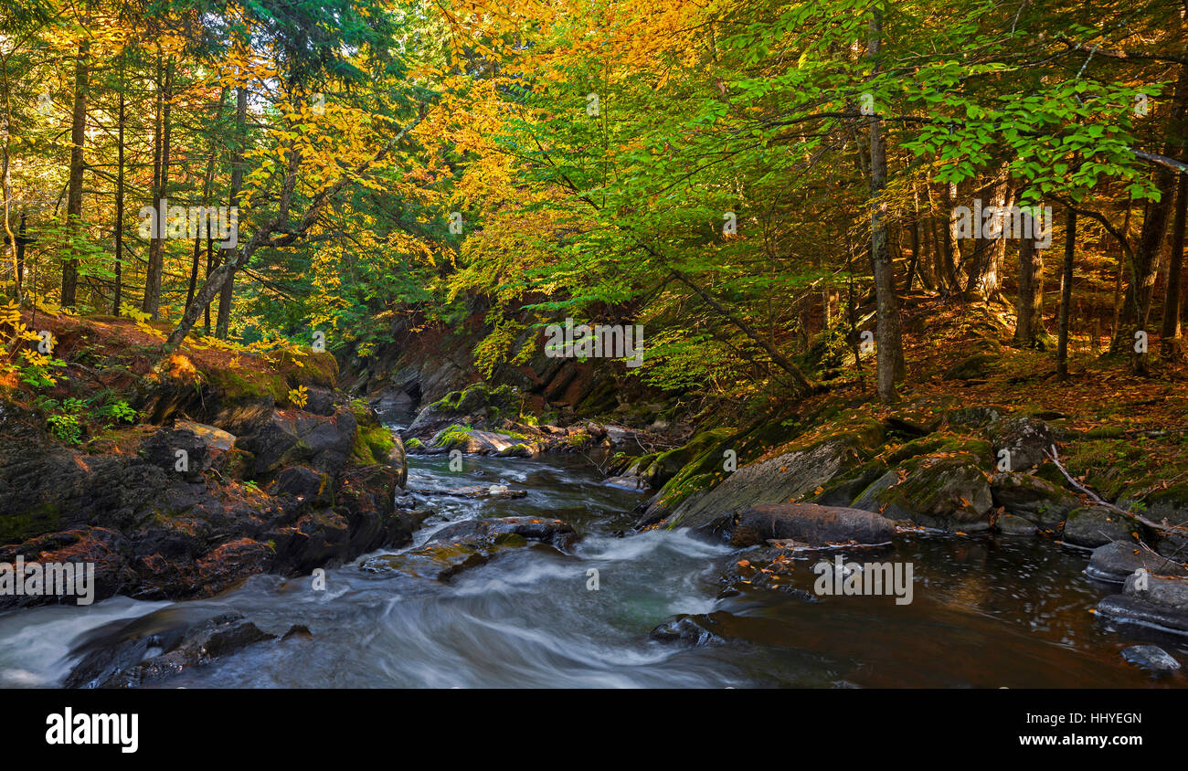 Autumn eastern townships hi-res stock photography and images - Alamy