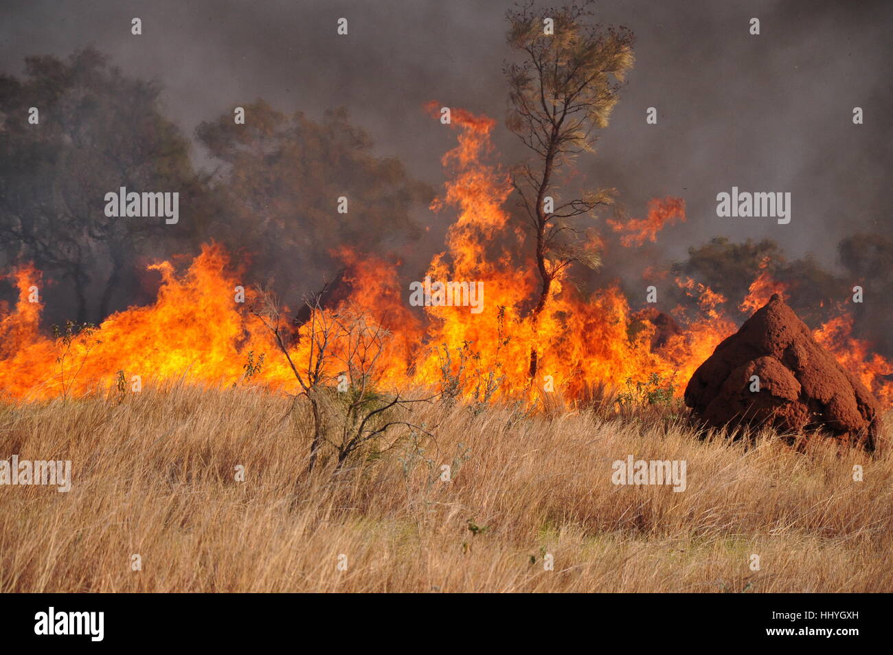 australia, heat, flame, flames, smoke, smoking, smokes, fume, australia ...