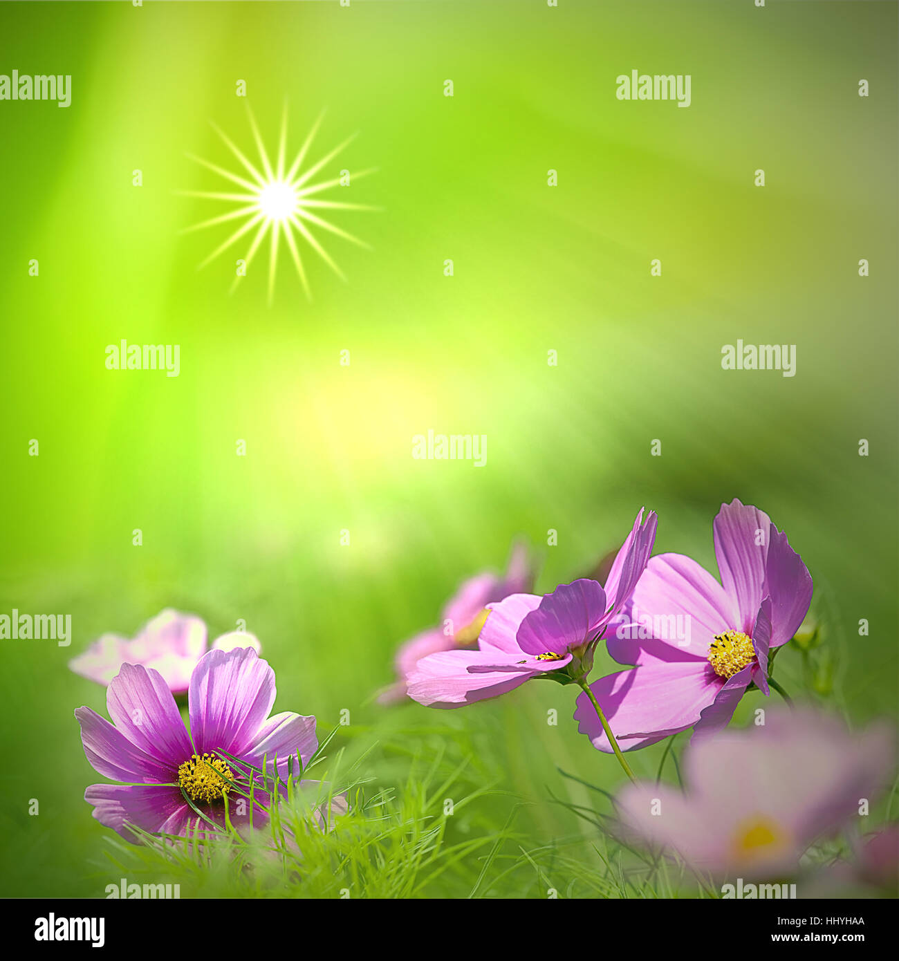 blue, environment, enviroment, space, graphic, flower, plant, beam ...