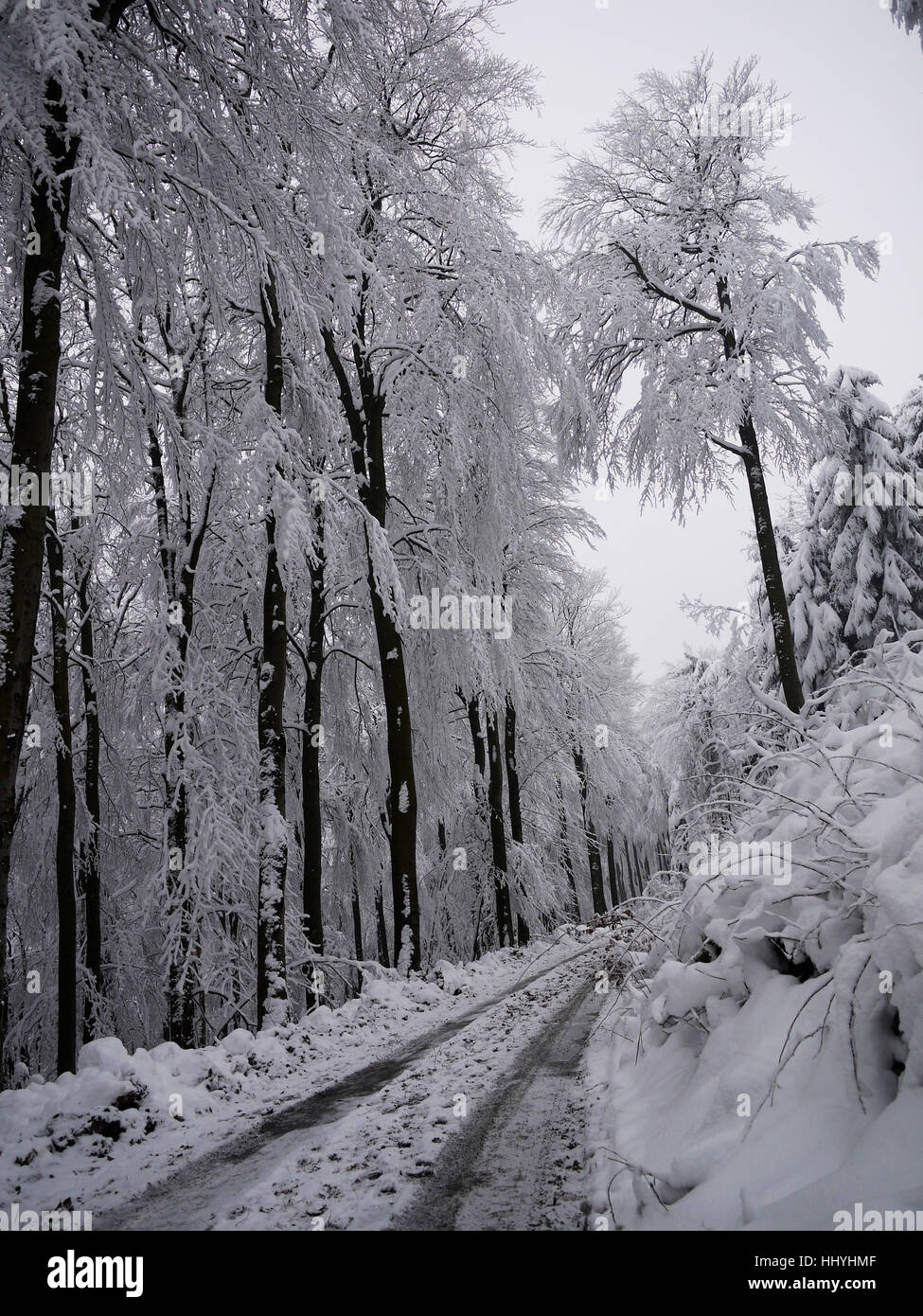 Hessian Highlands High Resolution Stock Photography and Images - Alamy
