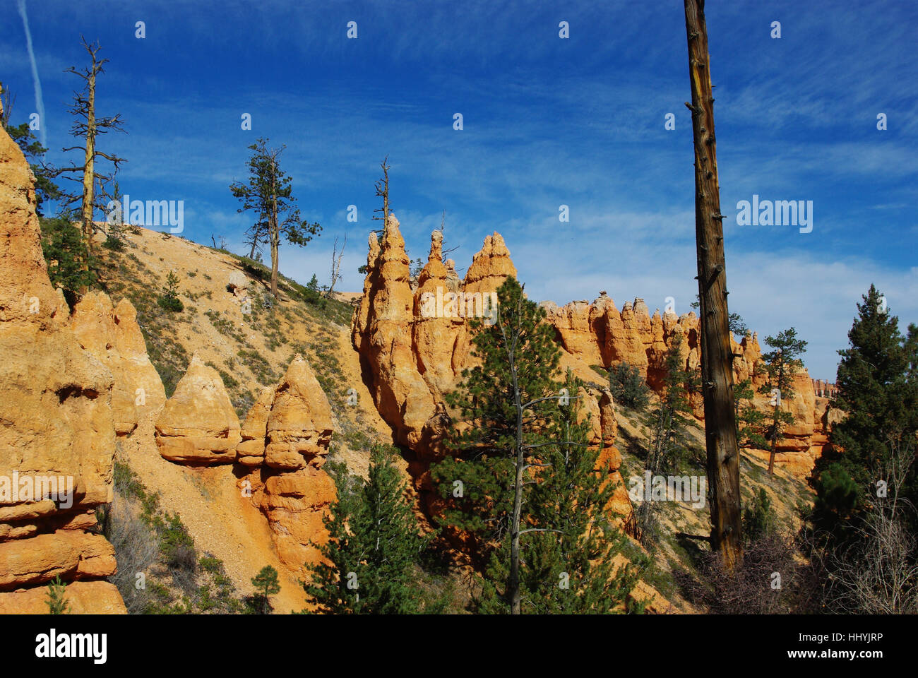 rock, Canyon, firmament, sky, wall, blue, tree, green, national park ...