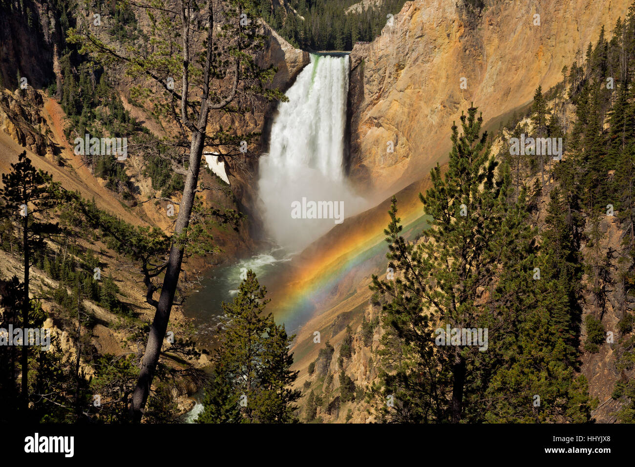 WYOMING - Rainbow at base of Lower Falls in Grand Canyon of the ...