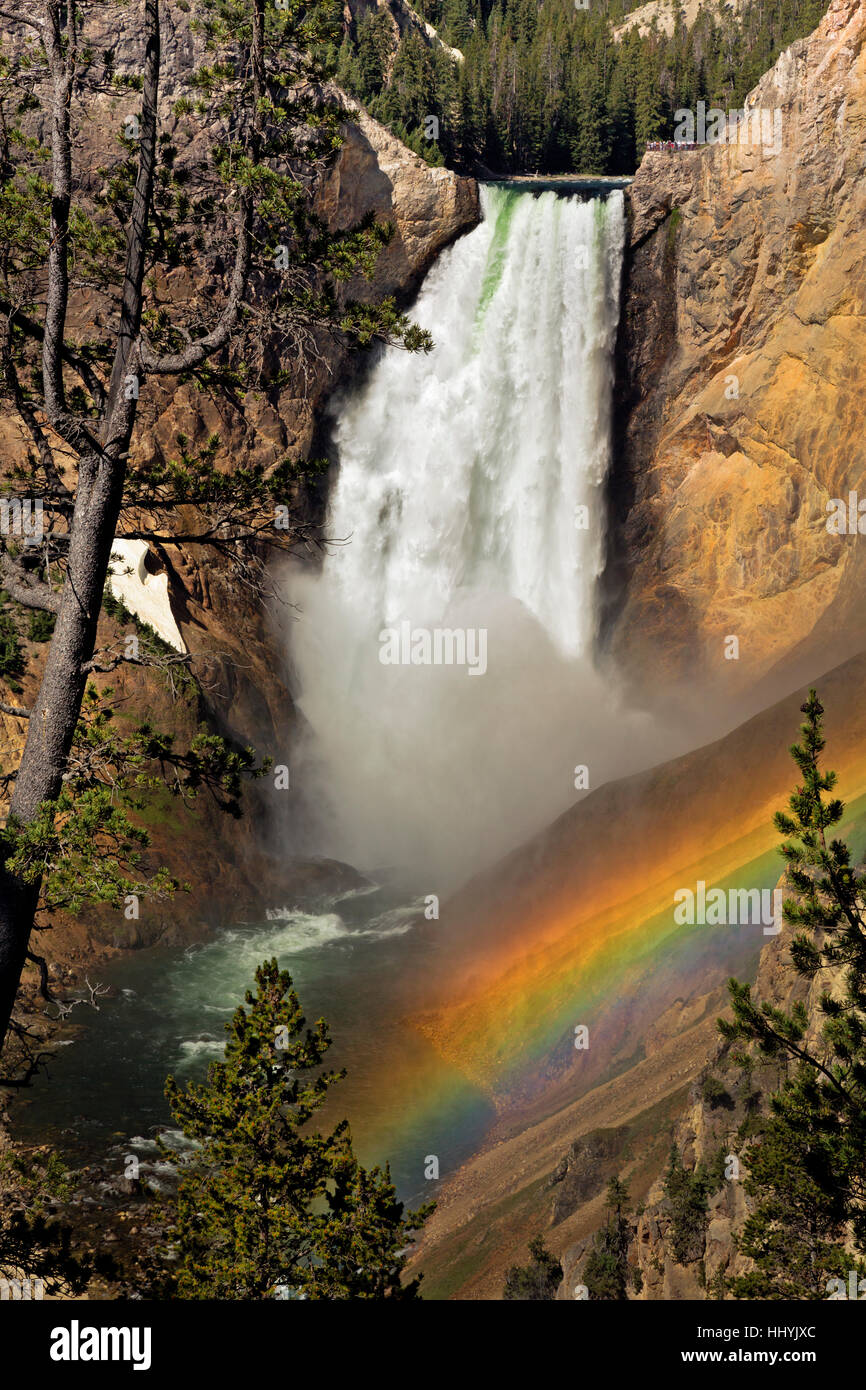 WYOMING - Rainbow at base of Lower Falls in Grand Canyon of the ...