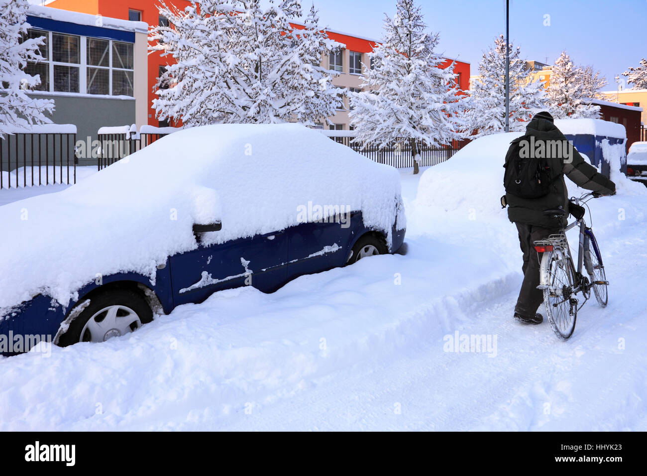 humans, human beings, people, folk, persons, human, human being, winter ...