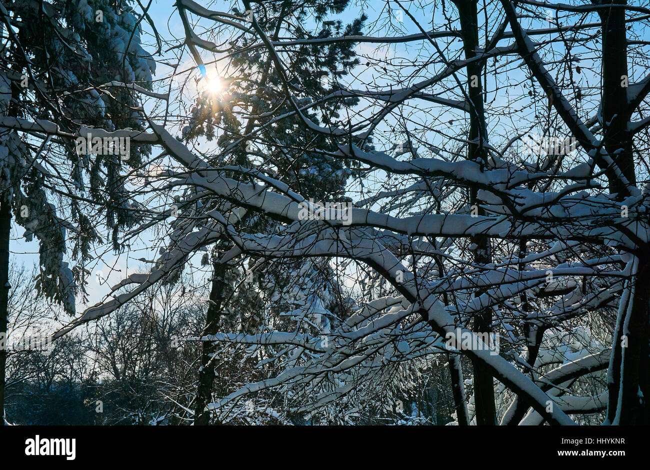 Beautiful scenes in the winter with lot of snow Stock Photo - Alamy