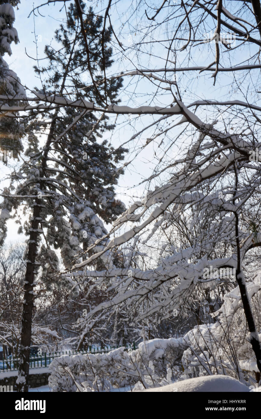 Beautiful scenes in the winter with lot of snow Stock Photo - Alamy