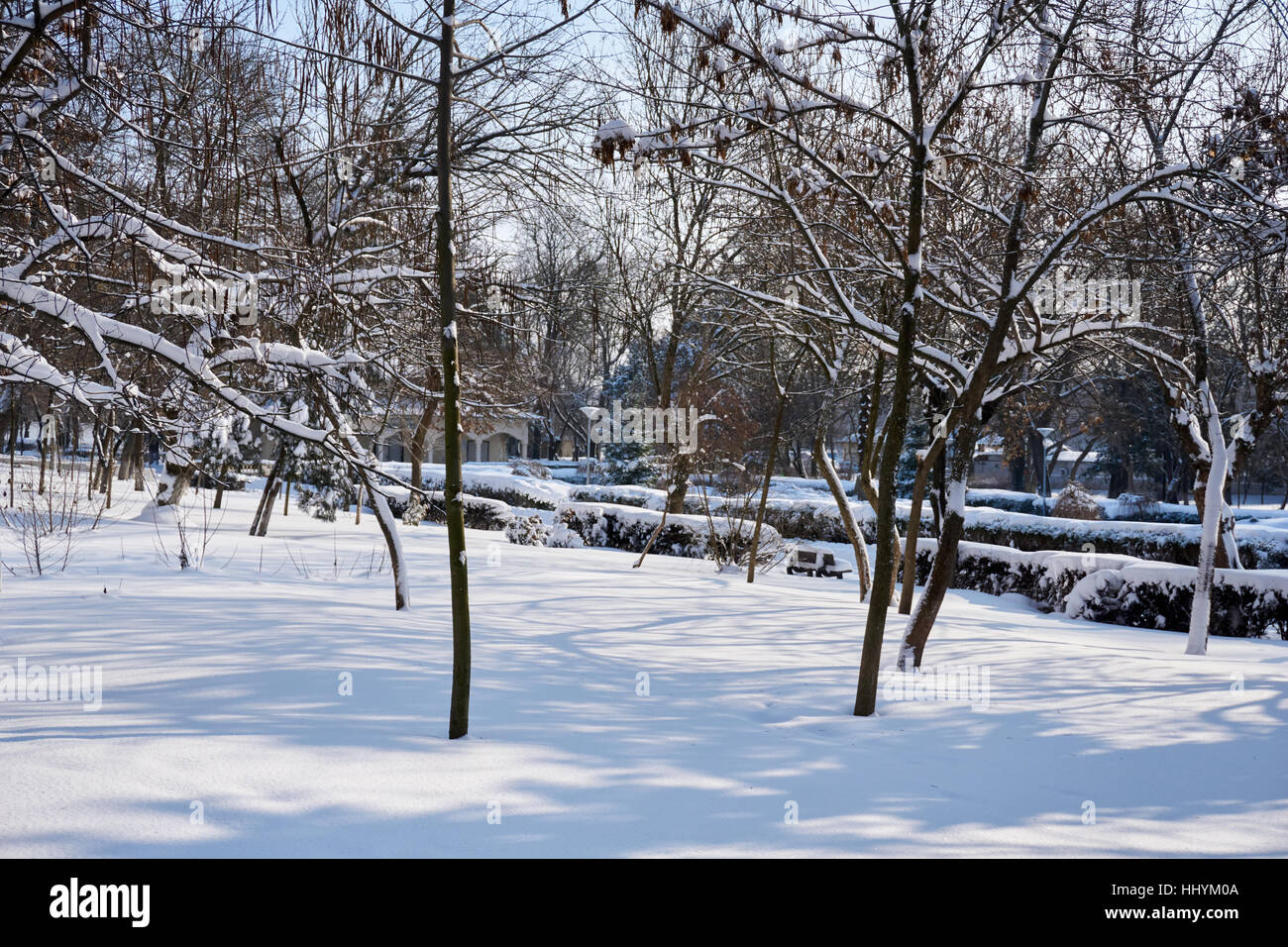 Beautiful scenes in the winter with lot of snow Stock Photo - Alamy