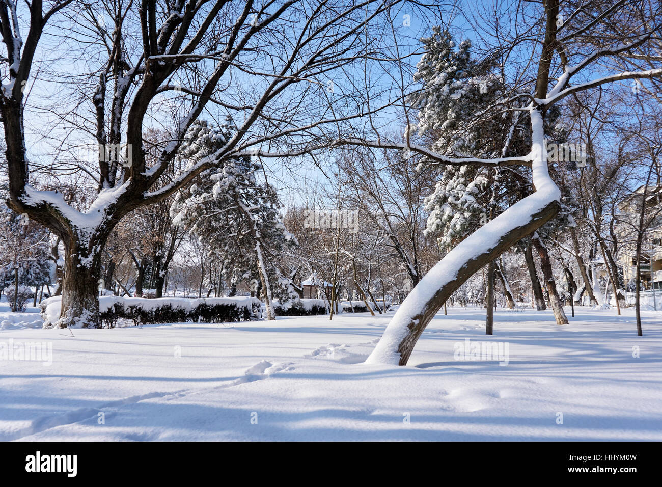 Beautiful scenes in the winter with lot of snow Stock Photo - Alamy