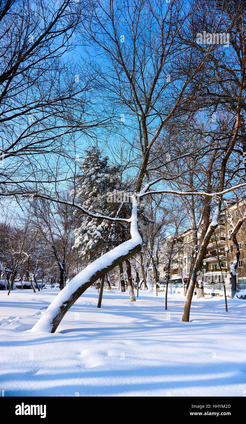 Beautiful scenes in the winter with lot of snow Stock Photo - Alamy