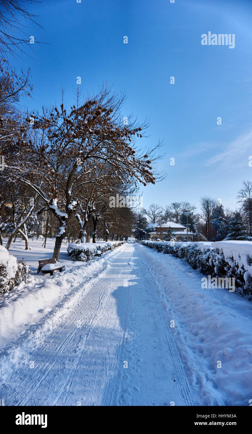 Beautiful scenes in the winter with lot of snow Stock Photo - Alamy