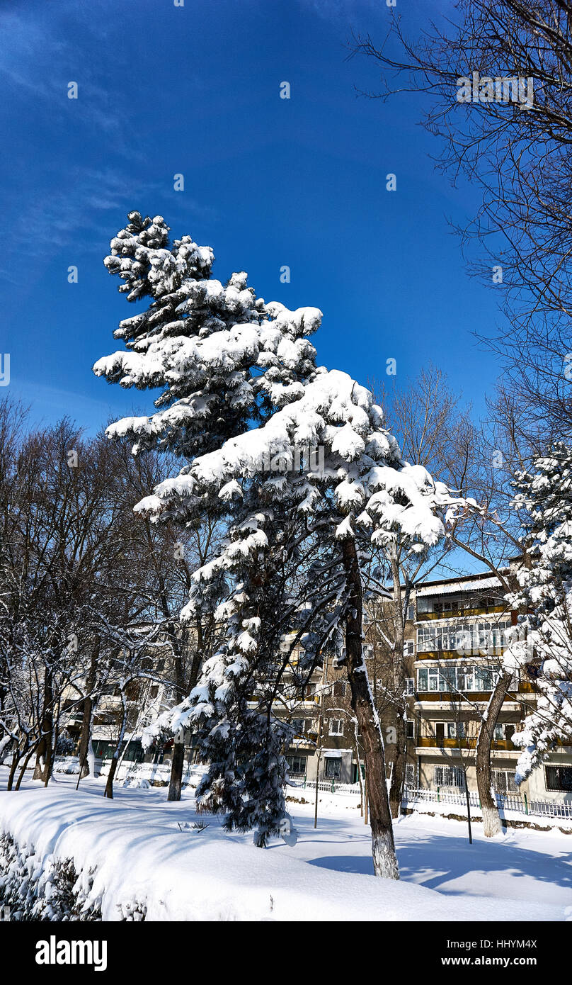 Beautiful scenes in the winter with lot of snow Stock Photo - Alamy
