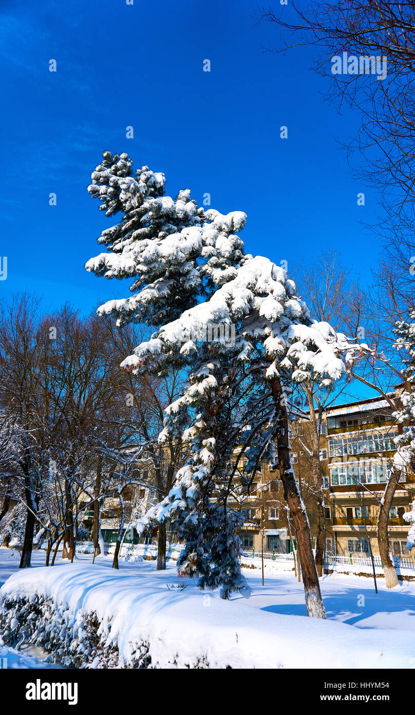 Beautiful scenes in the winter with lot of snow Stock Photo - Alamy
