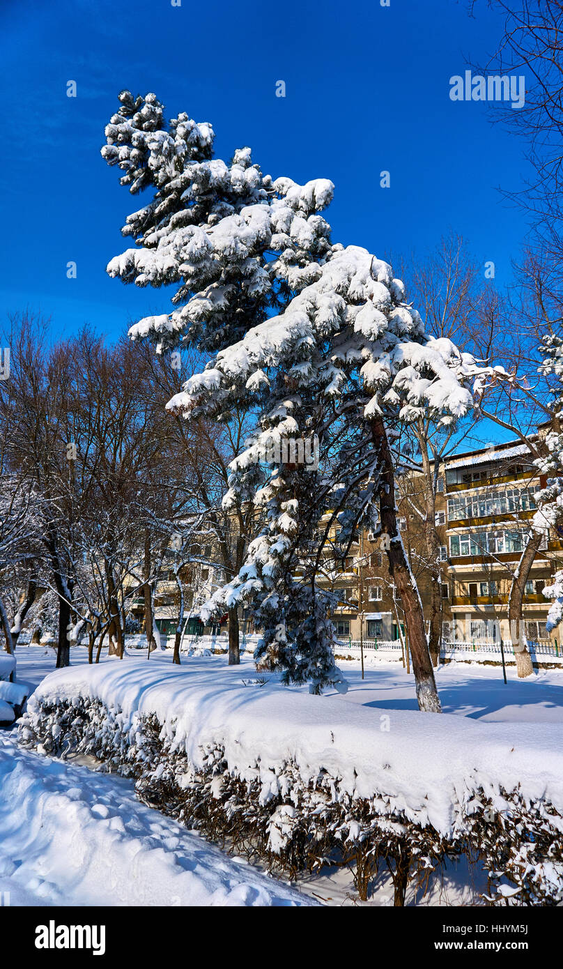 Beautiful winter scenes hi-res stock photography and images - Alamy