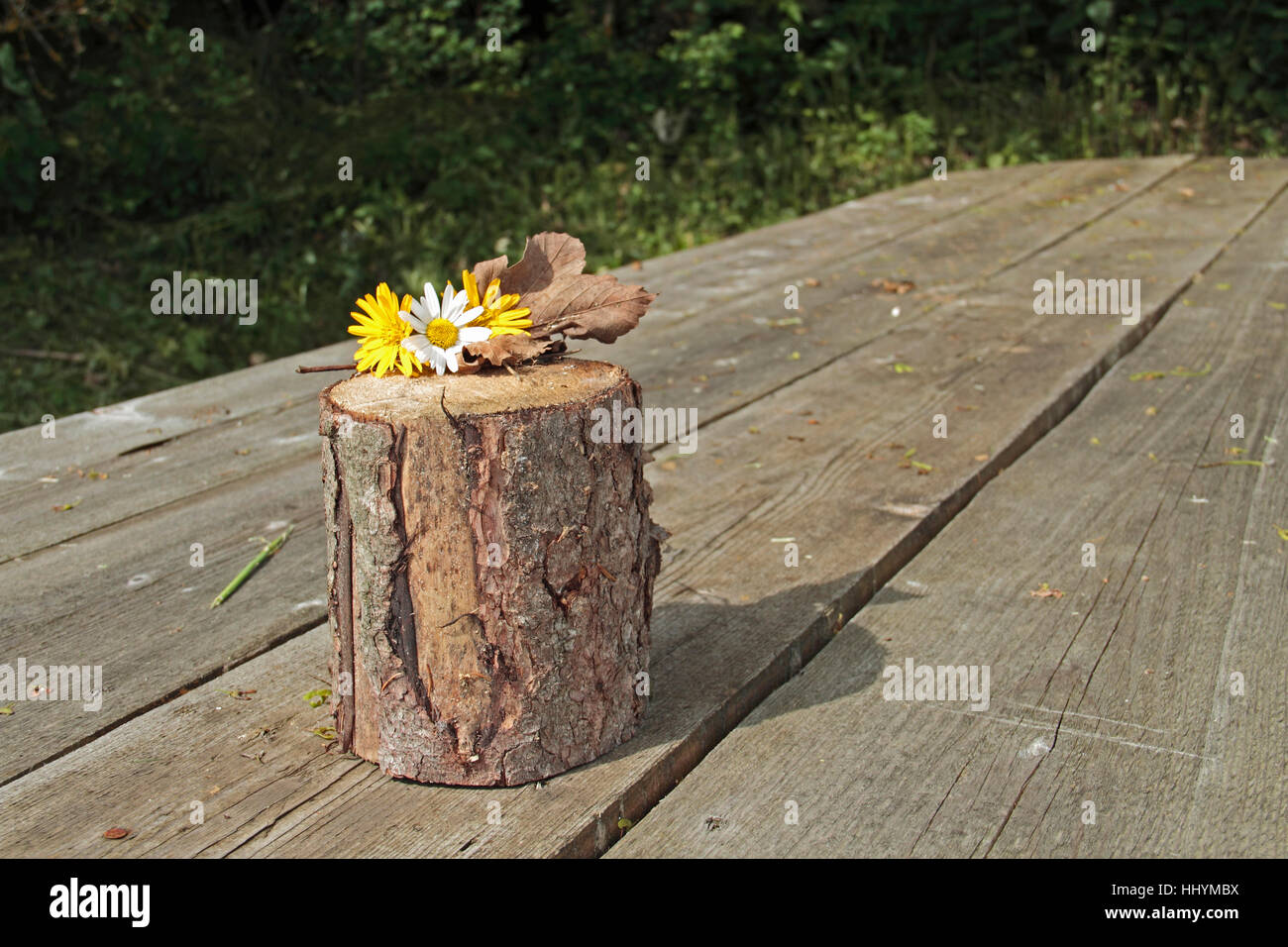 still life, environment, enviroment, wood, decoration, raw material ...