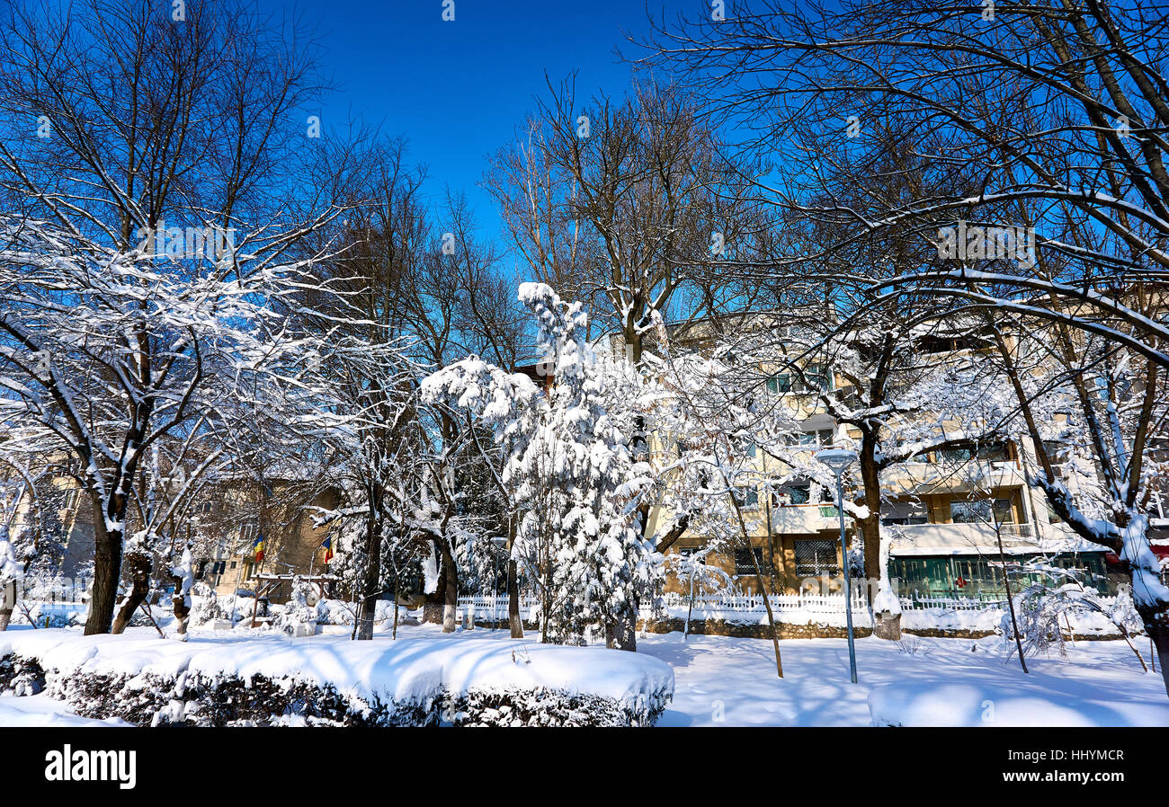 Beautiful scenes in the winter with lot of snow Stock Photo - Alamy