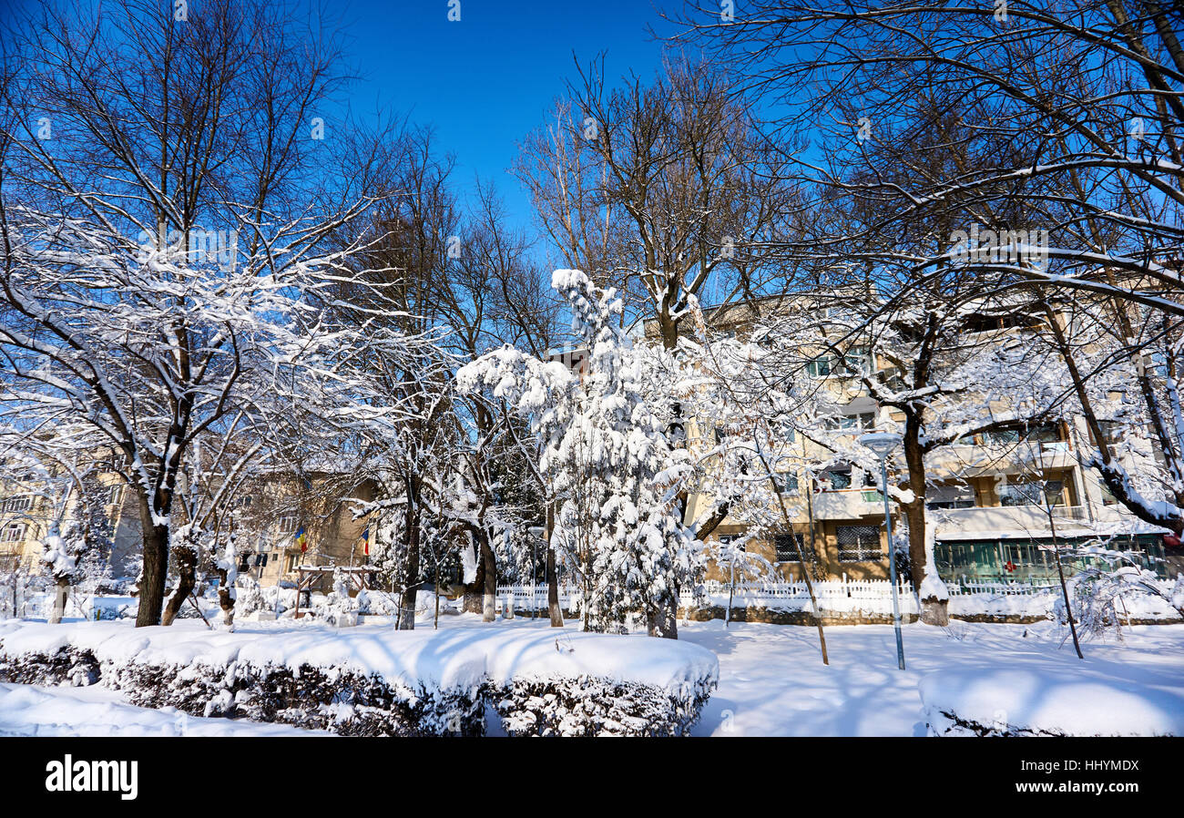 Beautiful scenes in the winter with lot of snow Stock Photo - Alamy