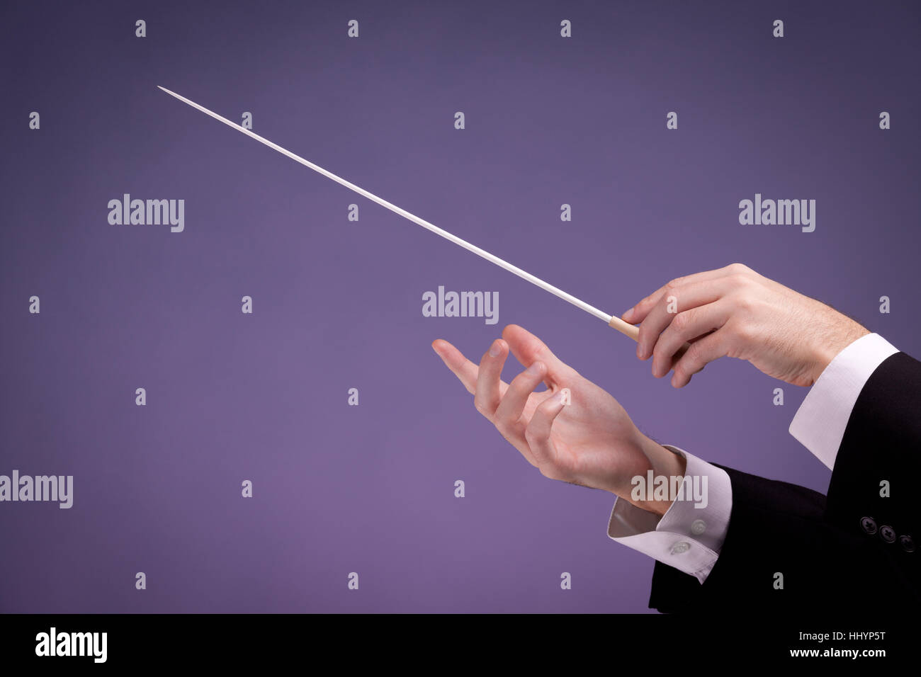 Male orchestra conductor hands, one with baton. Purple background Stock ...