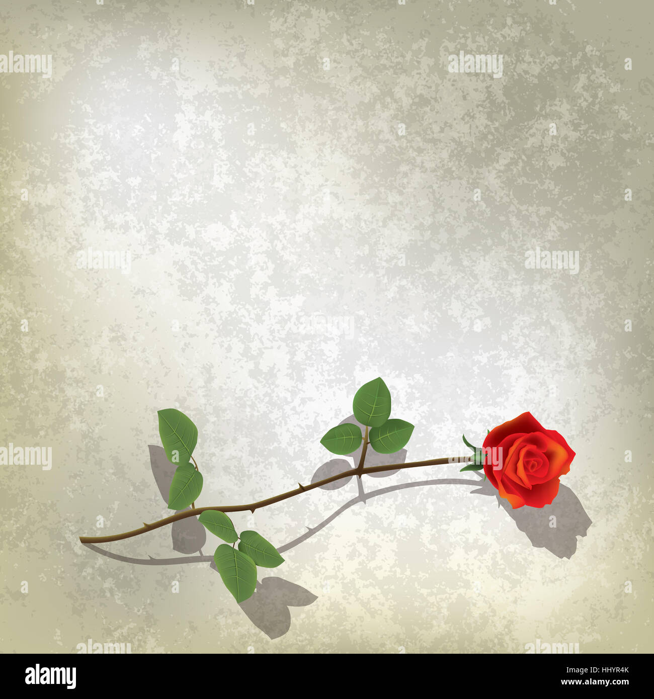 leaf, flower, plant, spring, abstract, crack, fissure, backdrop ...