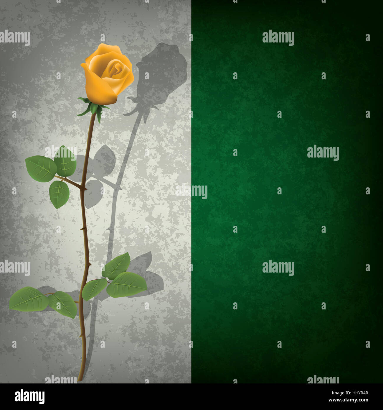 leaf, flower, plant, spring, abstract, crack, fissure, backdrop ...