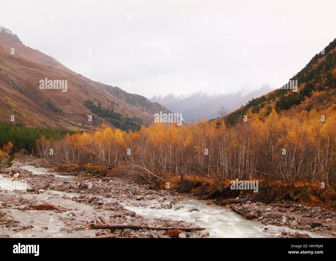 tree, landscape, scenery, countryside, nature, mountain, river, water ...