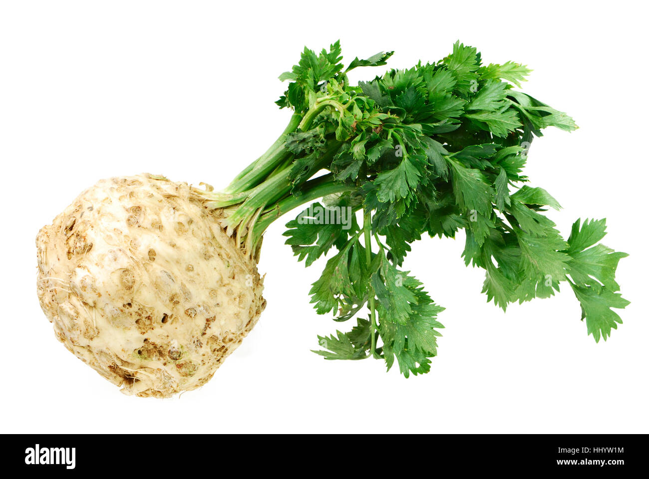 food, aliment, root, vegetable, celery, ingredient, celeriac, sellery, fresh Stock Photo - Alamy