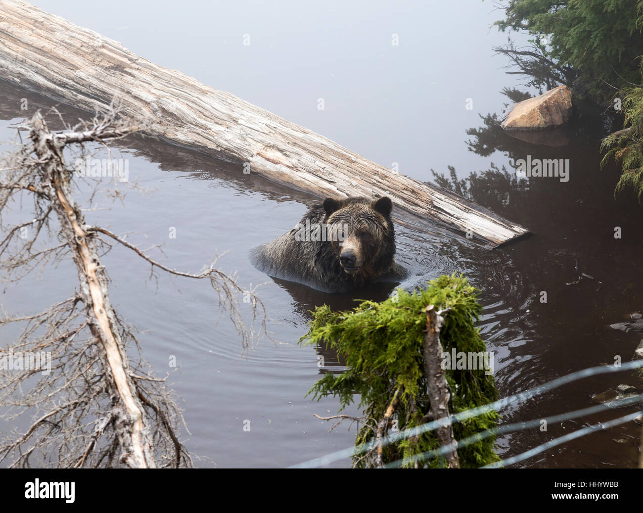 Grouse lake hi-res stock photography and images - Alamy