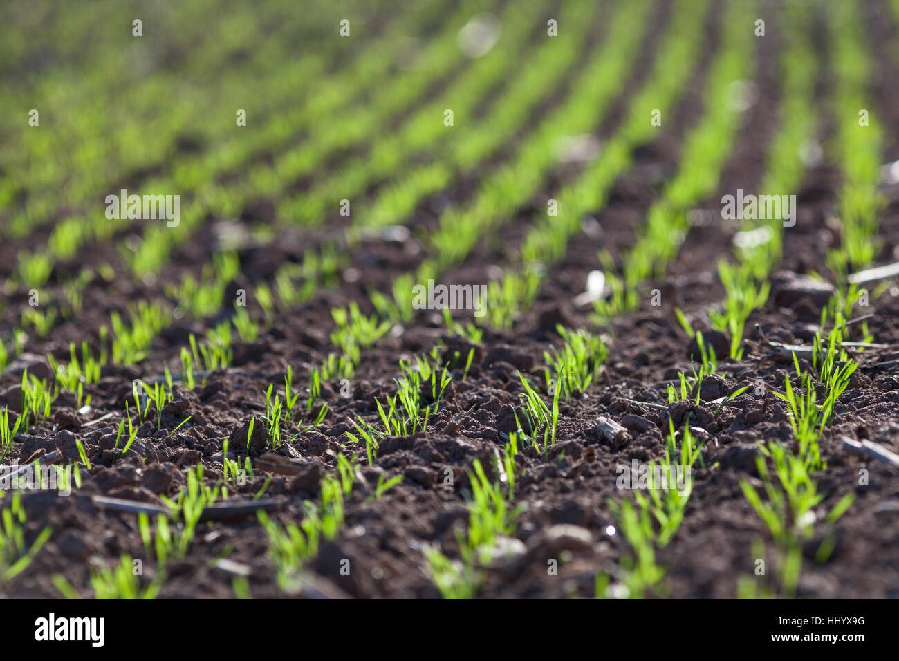 Agrarian structures hi-res stock photography and images - Alamy