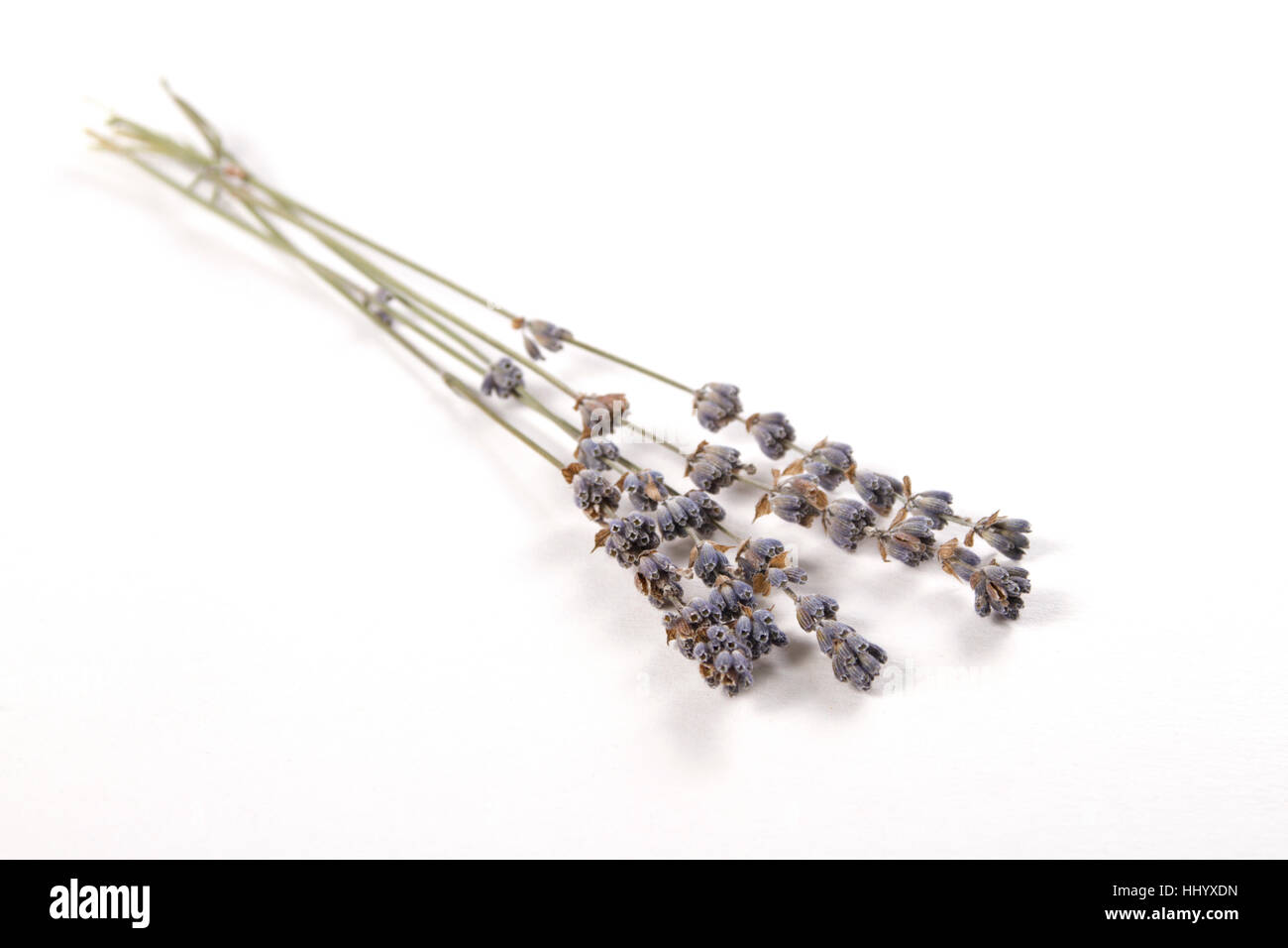 Lavendulae flos hi-res stock photography and images - Alamy