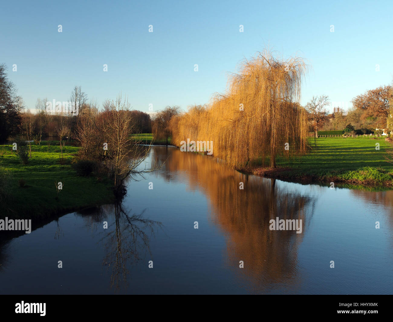 blue, environment, enviroment, tree, trees, winter, wood, field ...