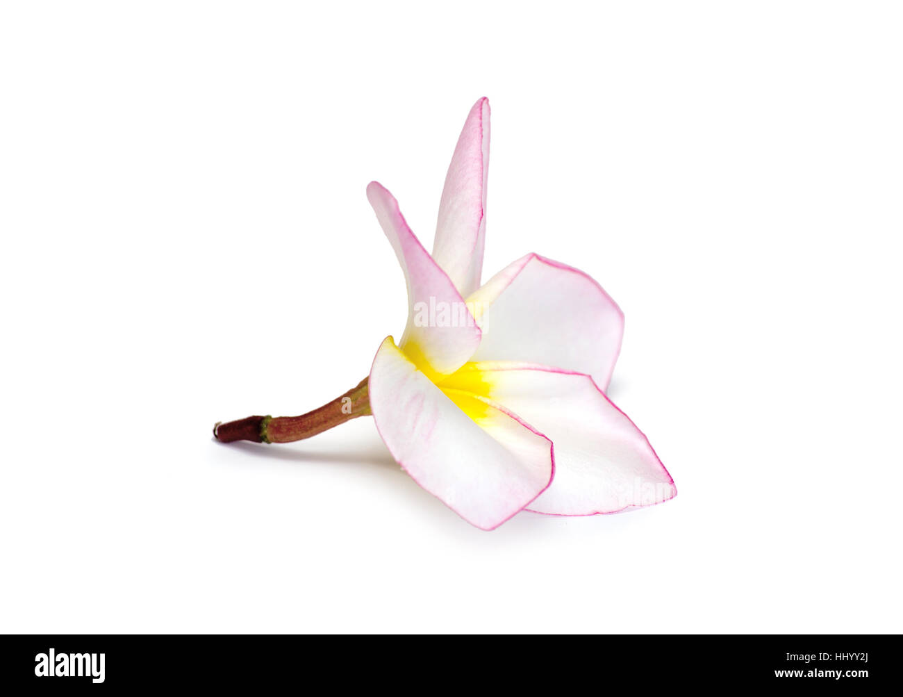 object, single, isolated, model, design, project, concept, plan, draft ...