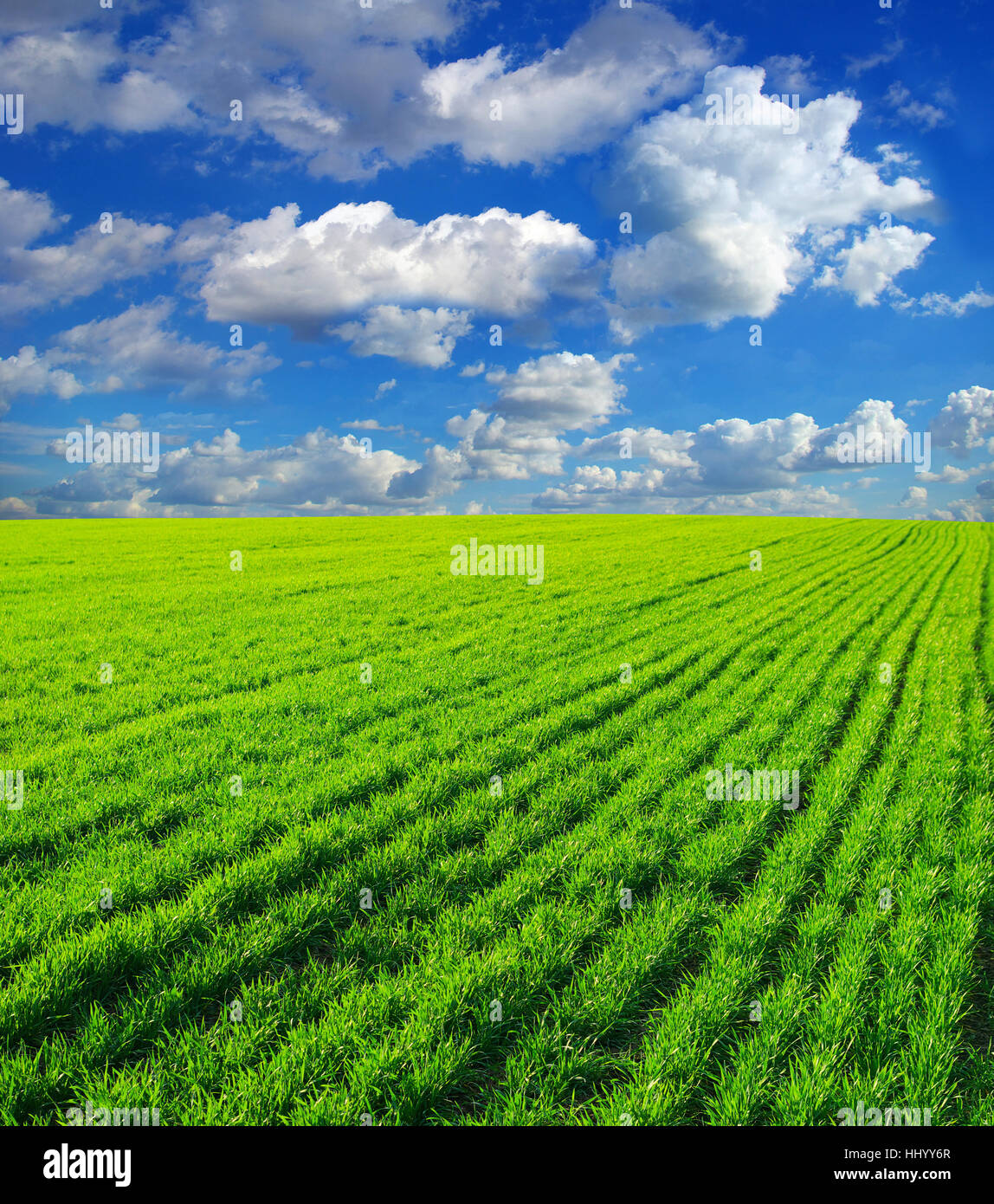 blue, environment, enviroment, colour, cloud, field, summer, summerly ...
