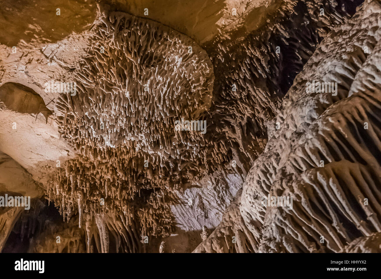 Cave shield covered with soda straws in Lehman Caves in Great Basin ...