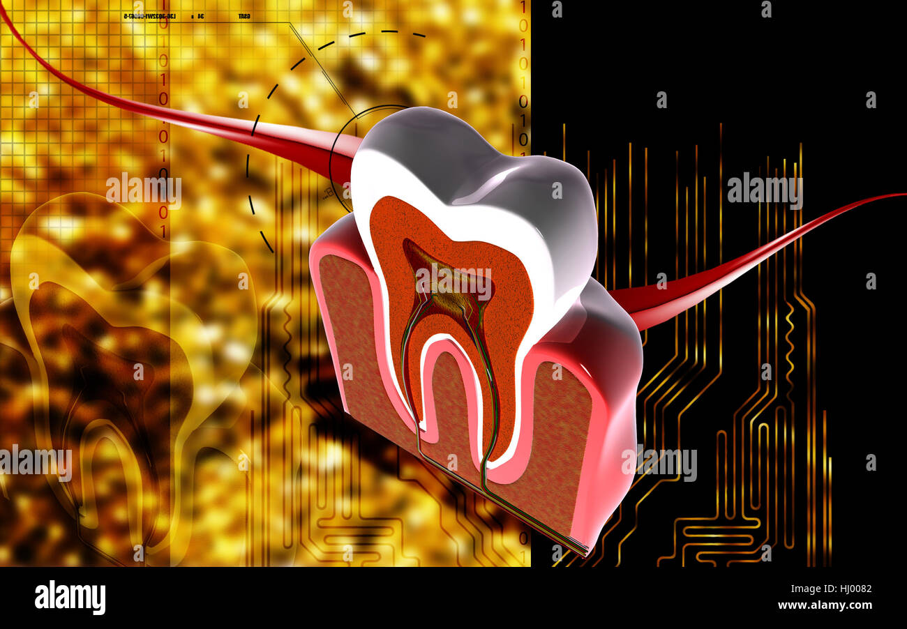 education, graphics, colour, closeup, science, teeth, illustration ...