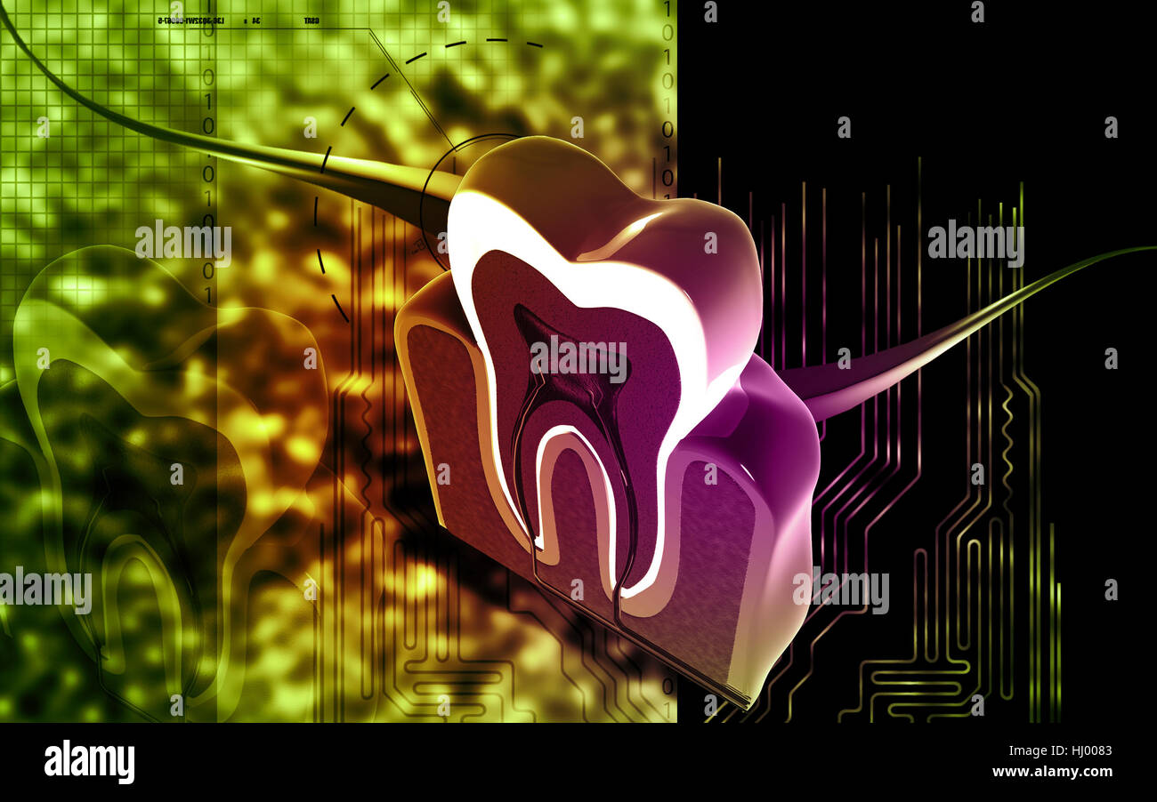education, graphics, colour, closeup, science, teeth, illustration ...