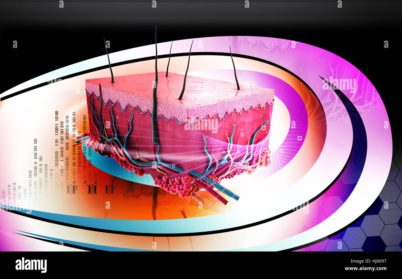 blue, education, medicinally, medical, graphics, colour, science, skin ...