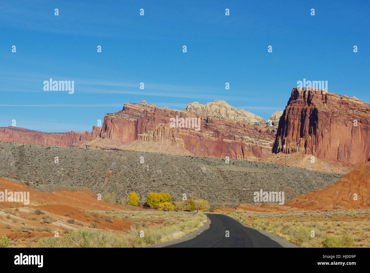 tree, rock, mountain, wall, fall, autumn, blue, tree, usa, rock ...