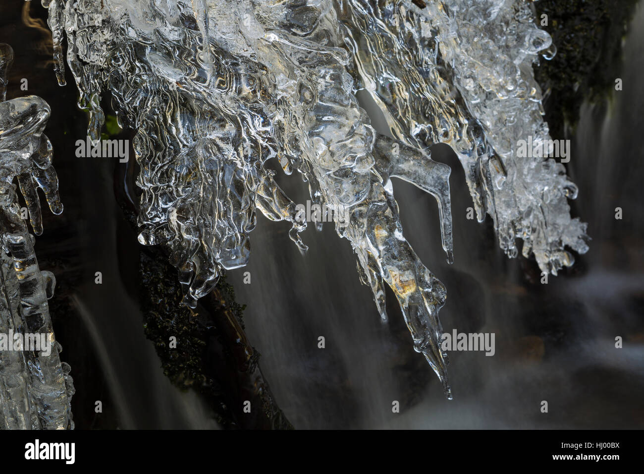 Ice formations on a cold late autumn morning along Lehman Creek in ...