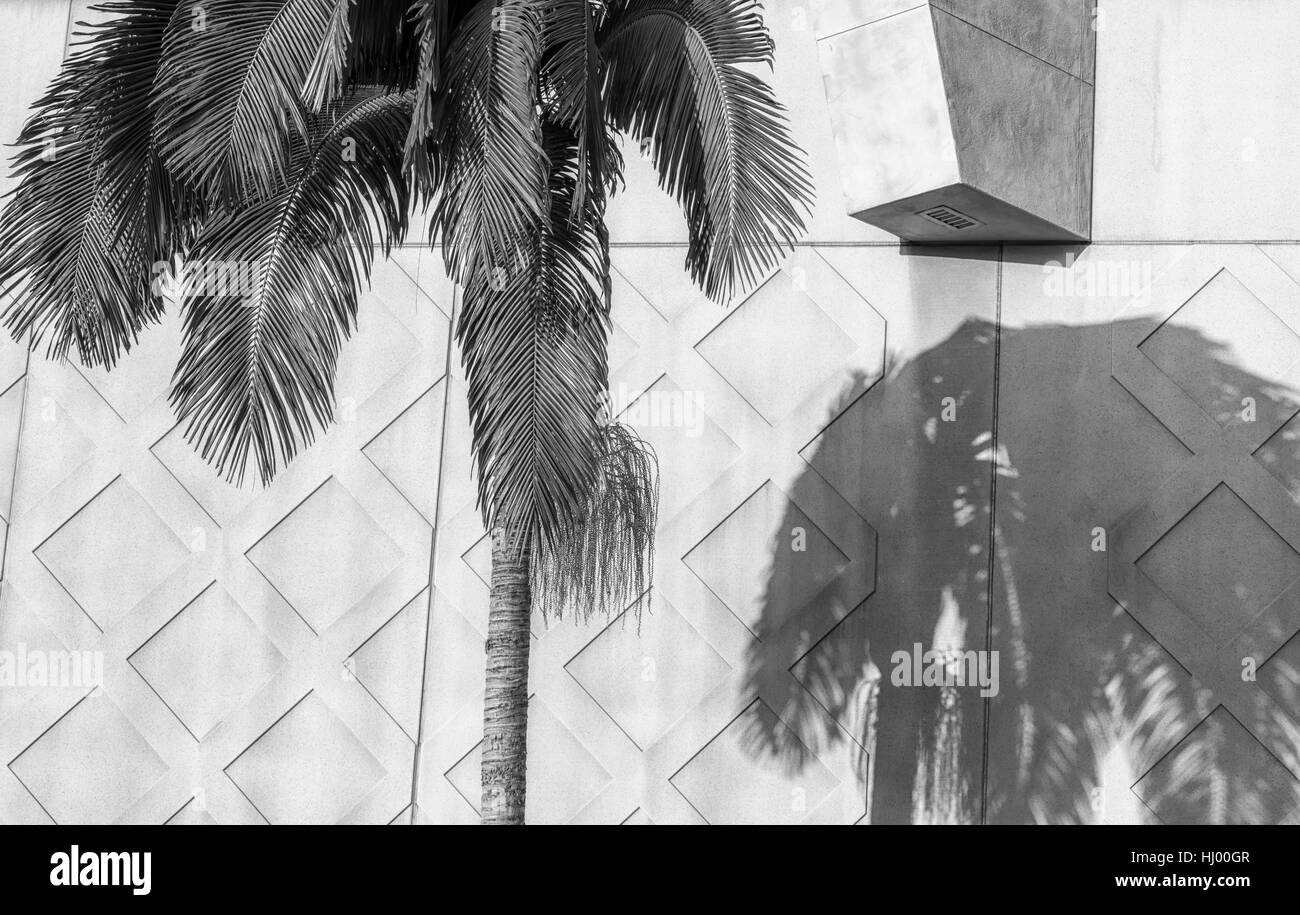 Shadow cast by trees hi-res stock photography and images - Alamy