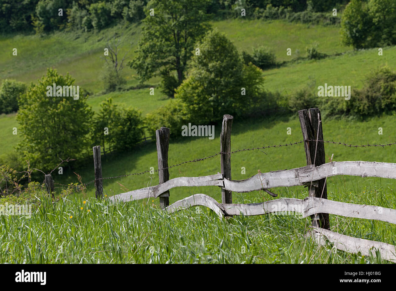 fence from wooden planks on the mountain, note shallow depth of field Stock Photo - Alamy