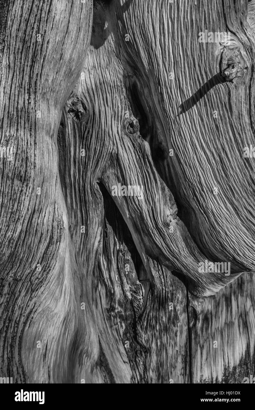 Southwest face Black and White Stock Photos & Images - Alamy