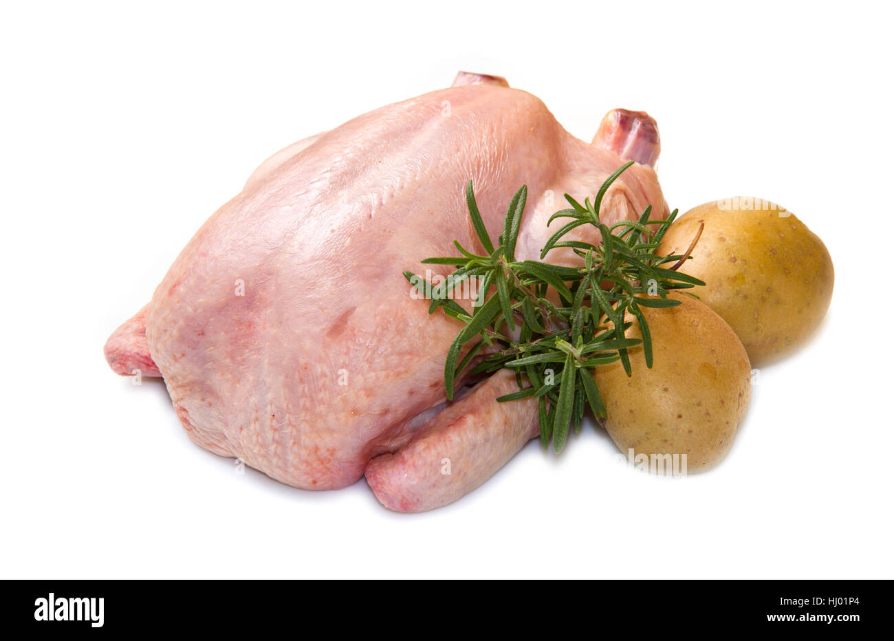 food, aliment, isolated, animal, bird, skin, four, boil, cooks, boiling ...